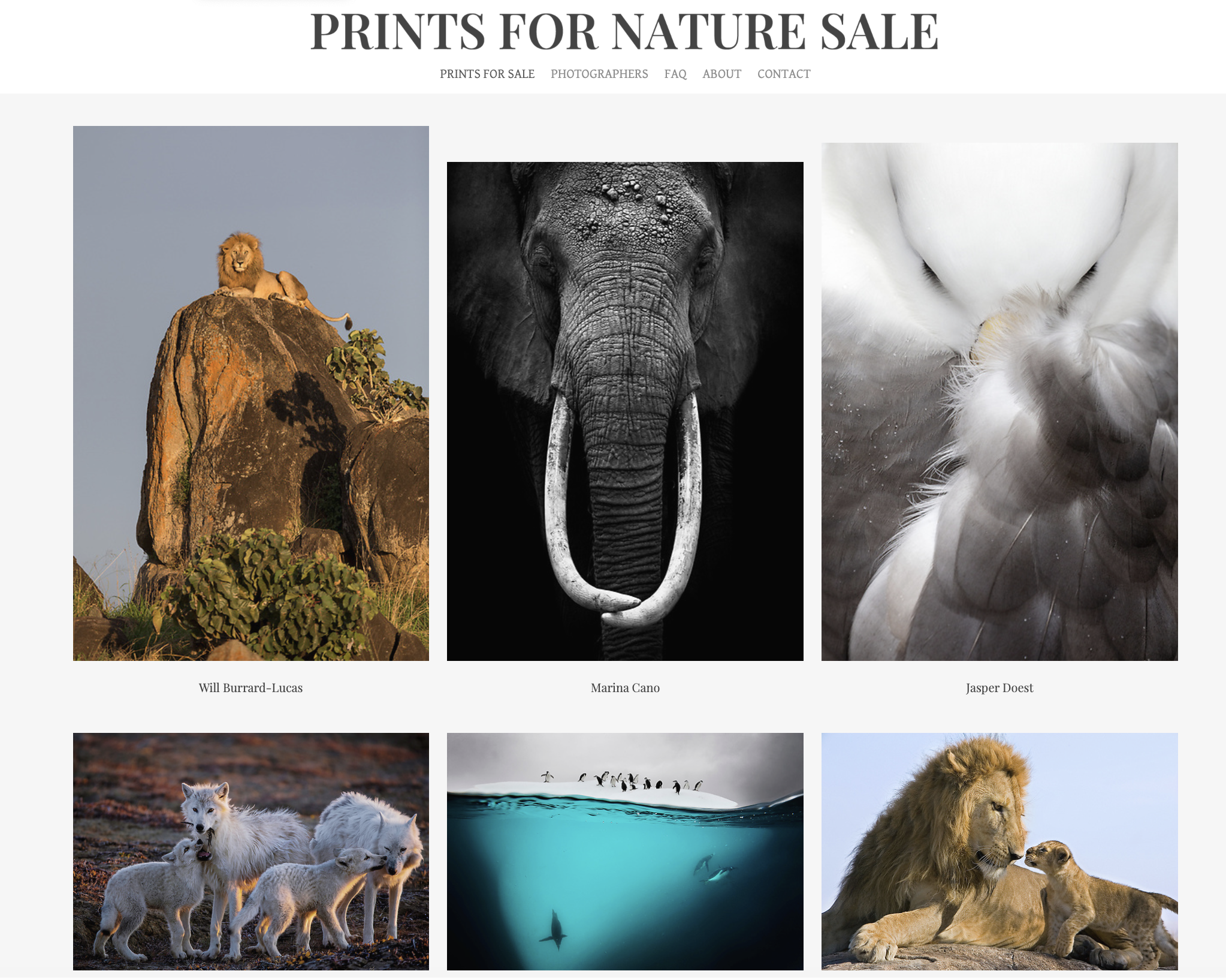 » Fine Art Photography