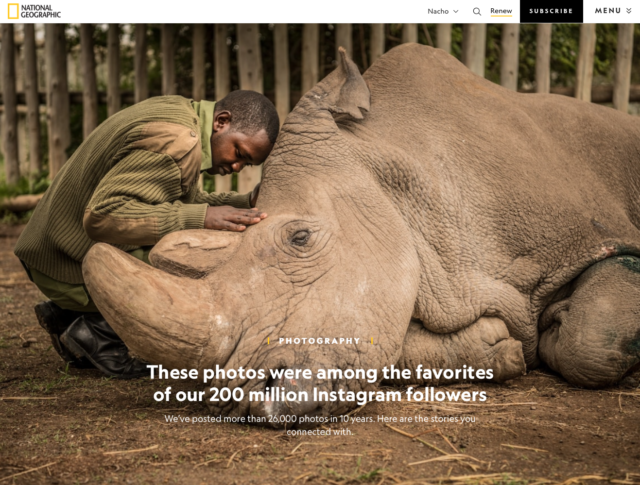 Ami Vitale | Productions